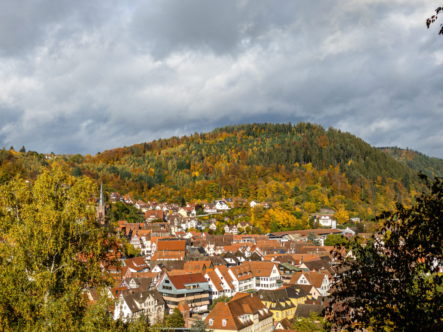 Verwunderlich Schweng Calw Bewertungen Fotos
